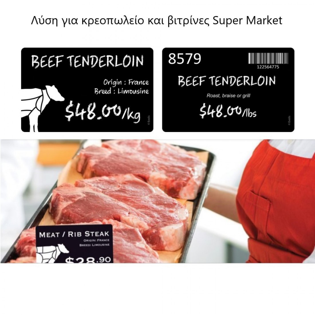 EDIKIO FLEX Εκτυπωτής Πλαστικών Καρτών