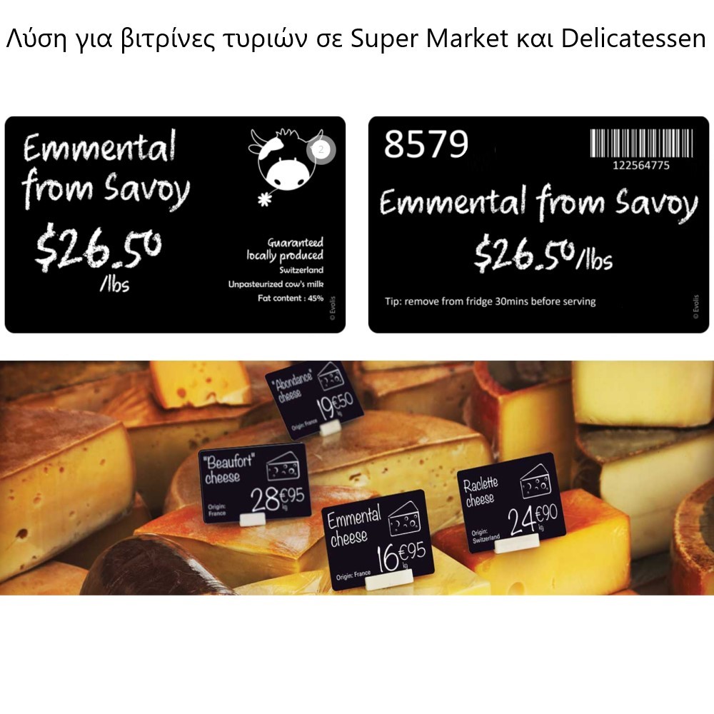 EDIKIO FLEX Εκτυπωτής Πλαστικών Καρτών